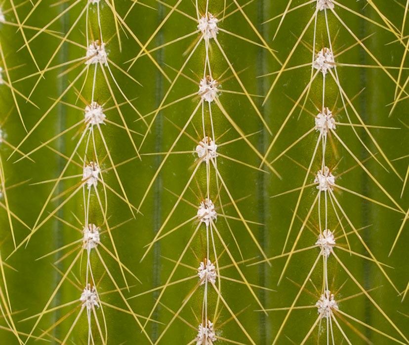 Лазерная или фотоэпиляция: что лучше? Чем отличается фотоэпиляция от ...